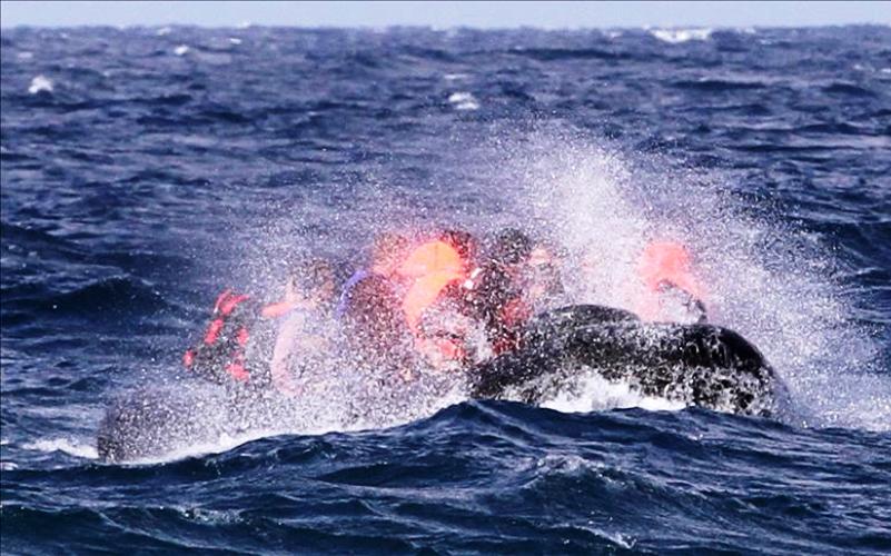 U Sredozemnom moru spašeno više od 2.000 migranata - Zenit.ba