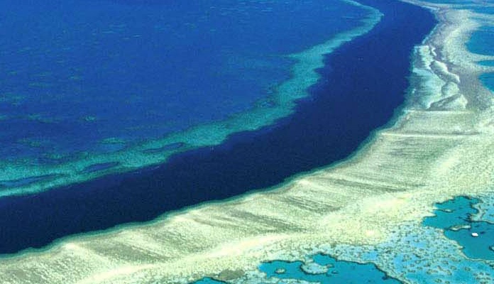 Veliki koraljni greben vrijedi 37 milijardi eura - Zenit.ba