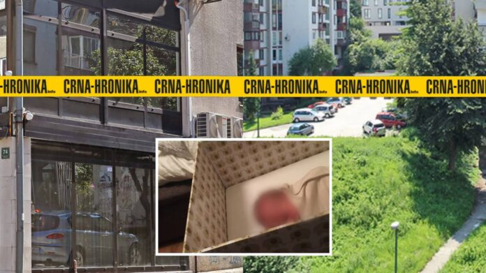 Beba koja je ostavljena na ulici u Sarajevu pronašla hraniteljsku porodicu - Zenit.ba