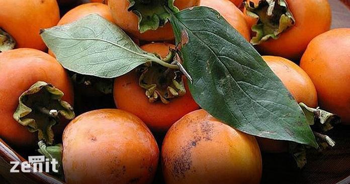 Japanska jabuka pomoćnik u prevenciji raka - Zenit.ba