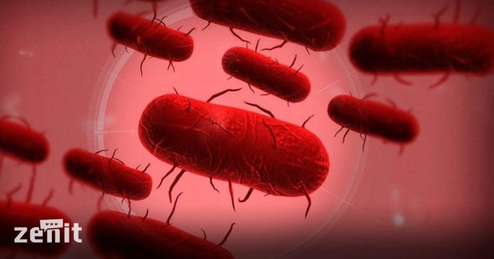 WHO isporučio 1,2 miliona doza antibiotika za borbu protiv kuge - Zenit.ba