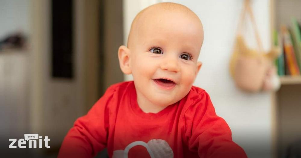 Pokrenuta akcija za pomoć devetomjesečnom Afanu Šehiću iz Zenice - Zenit.ba